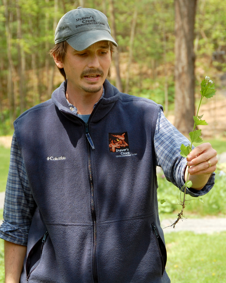 Biology, Bags, and Burritos: The Science Every Morel Hunter Should Know ...